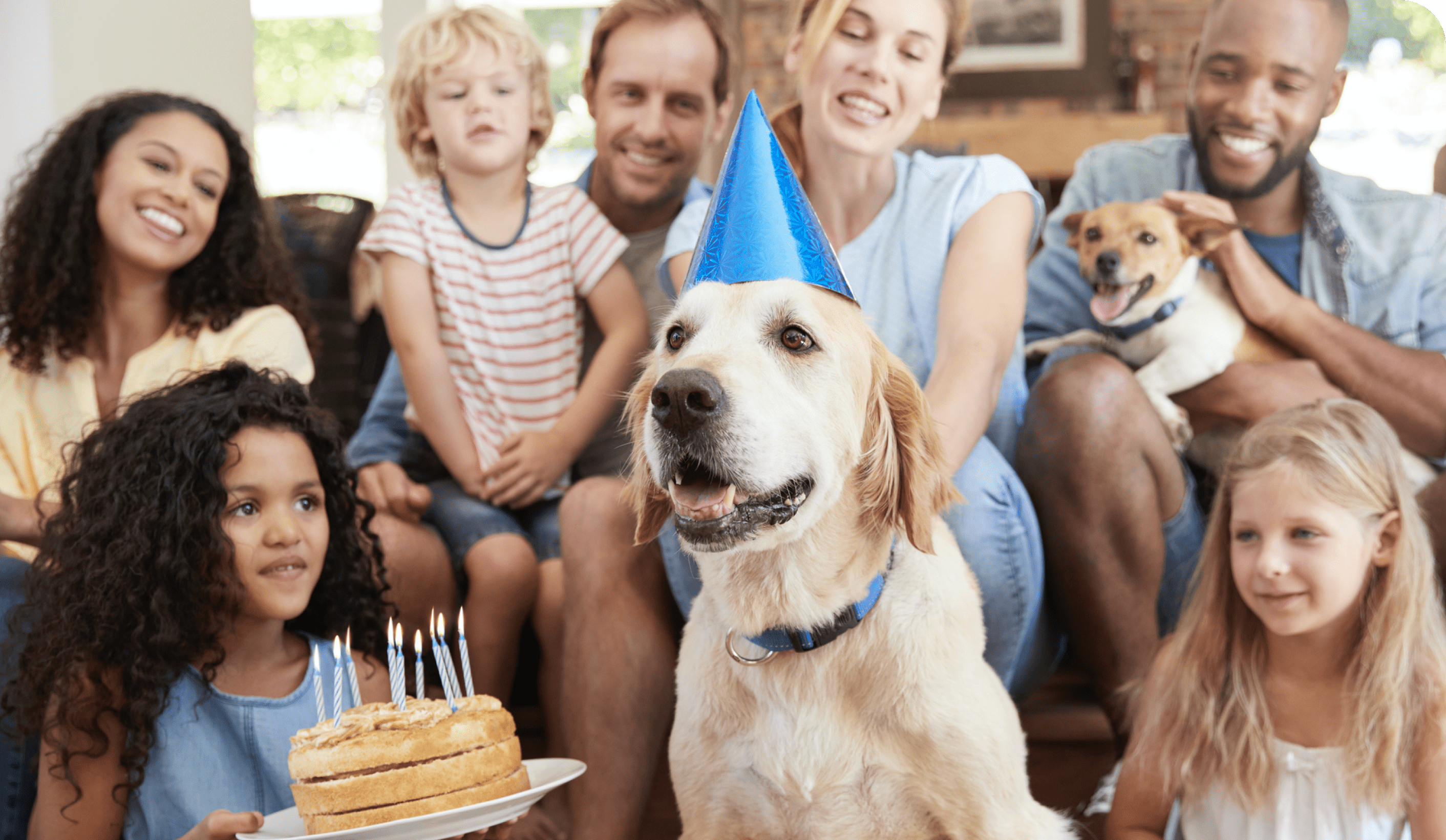 Services - Family Allergy Center